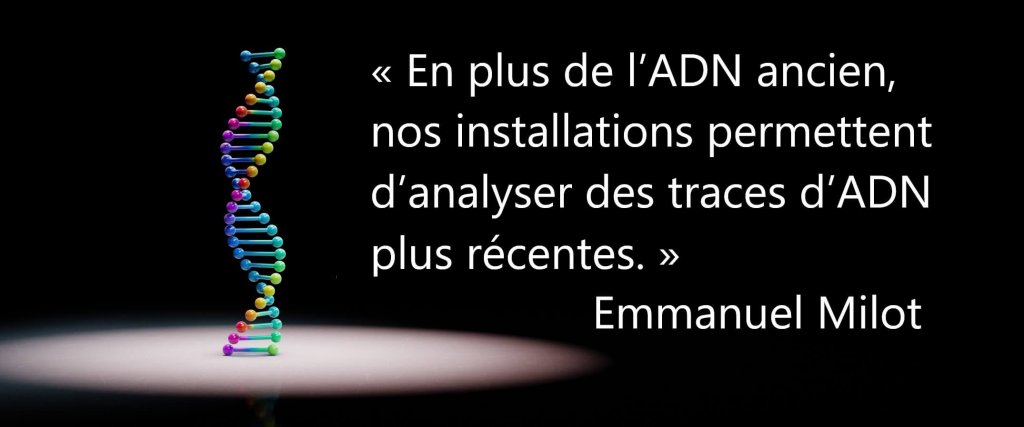 Le laboratoire TRACES : faire parler l’ADN ancien • Néo UQTR